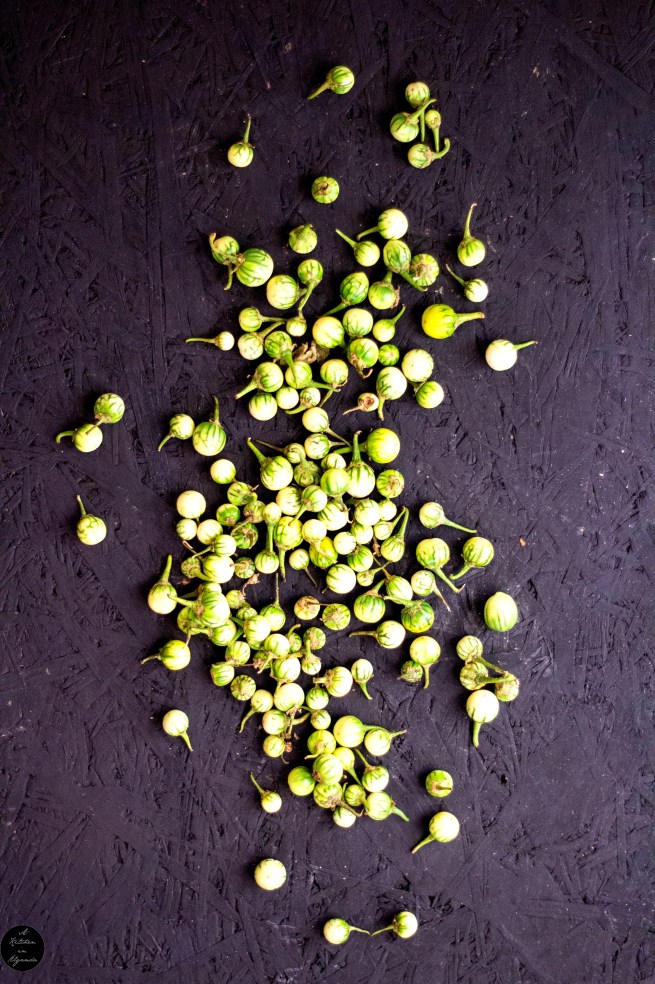 Gingered Fresh Bean Pasta with Bitter Berries (katunkuma) – A Kitchen ...